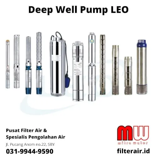 Deep Well Pump LEO - Mitra Water - Pusat Filter Air Surabaya